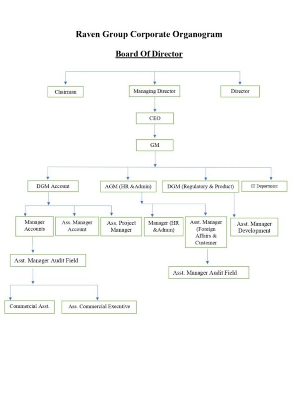 Board of Directors – Raven Group
